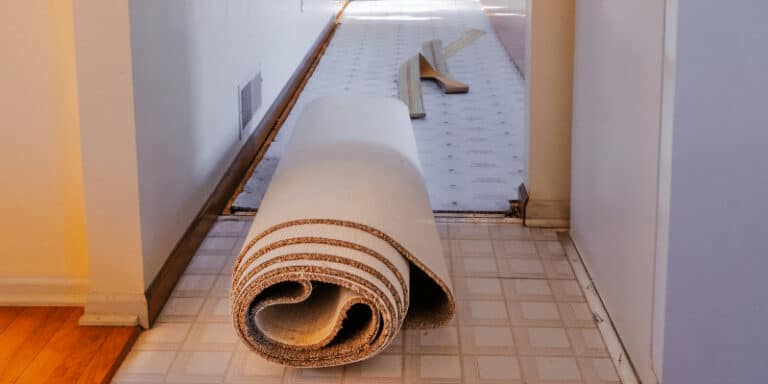How Much Does it Cost to Replace a Carpet in an Apartment? - Apartment ...